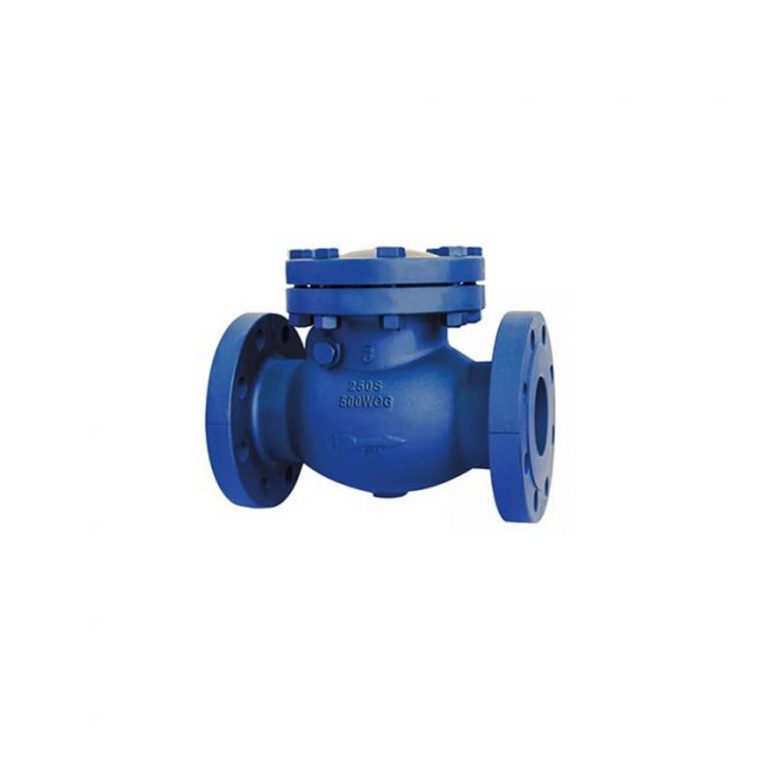Flanged Check Valves – Hydropoint